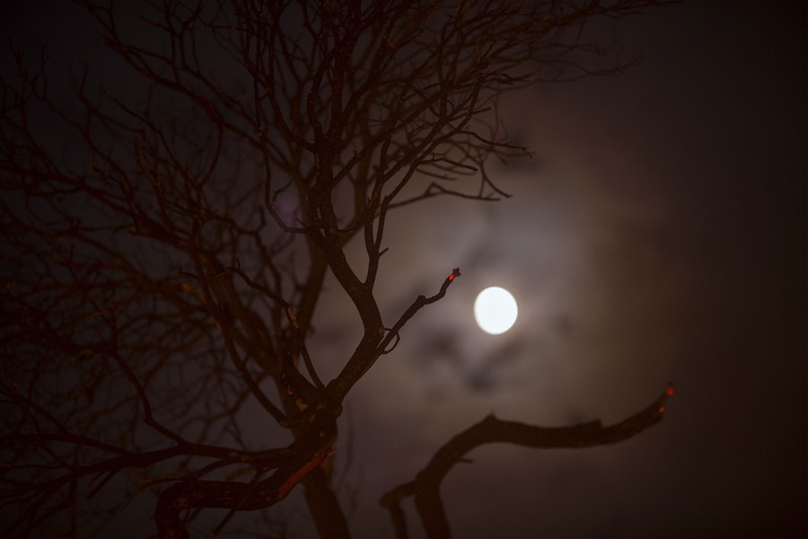 Wildfires Rage Across the American West - The Atlantic