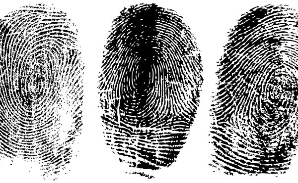 All Stories by Inimai M. Chettiar - The Atlantic