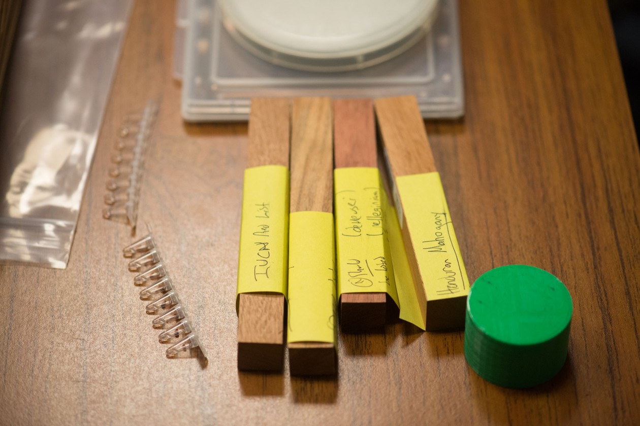 A Handheld DNA Scanner: Conservation's High-Tech Future - The Atlantic