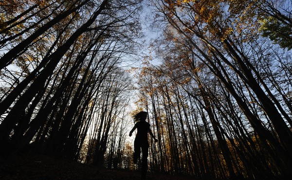 All Stories by Timothy D. Walker - The Atlantic