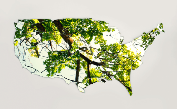 All Stories by David Brooks - The Atlantic