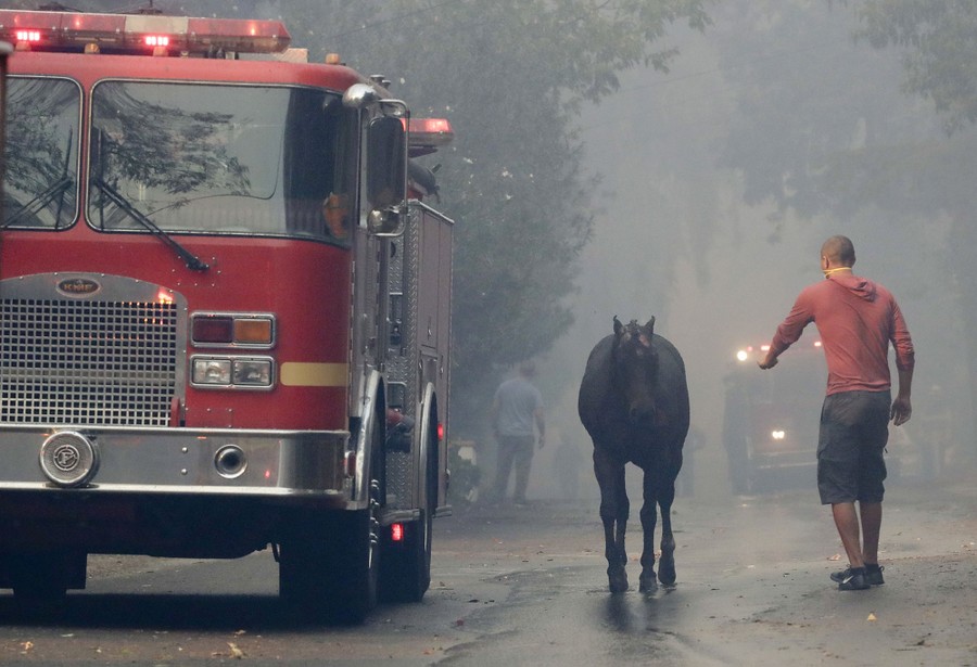 Ferocious Wind-Driven Wildfires Burn Across Southern California - The ...