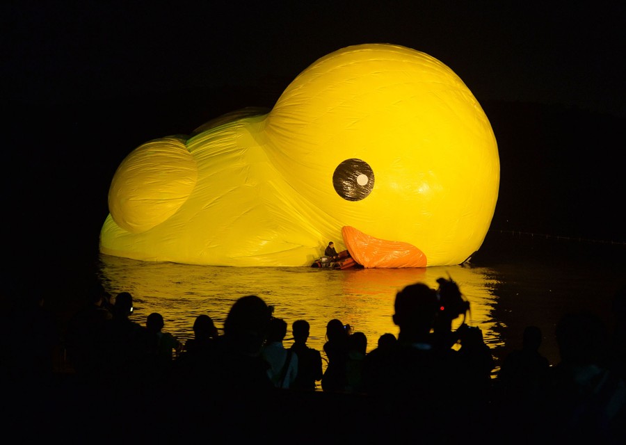 Photos: The Giant Ducks of Florentijn Hofman - The Atlantic