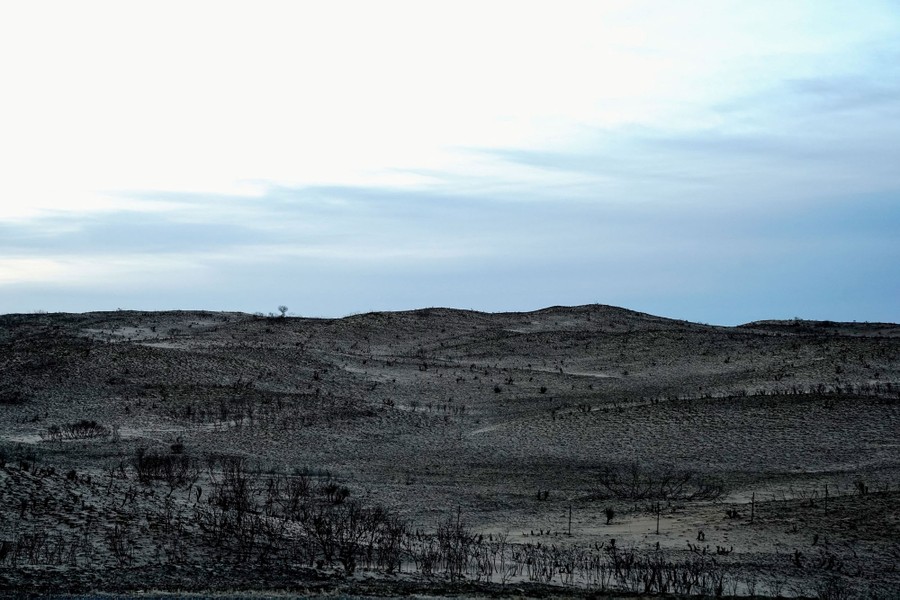 Wildfires Rage Across the Texas Panhandle and Oklahoma - The Atlantic