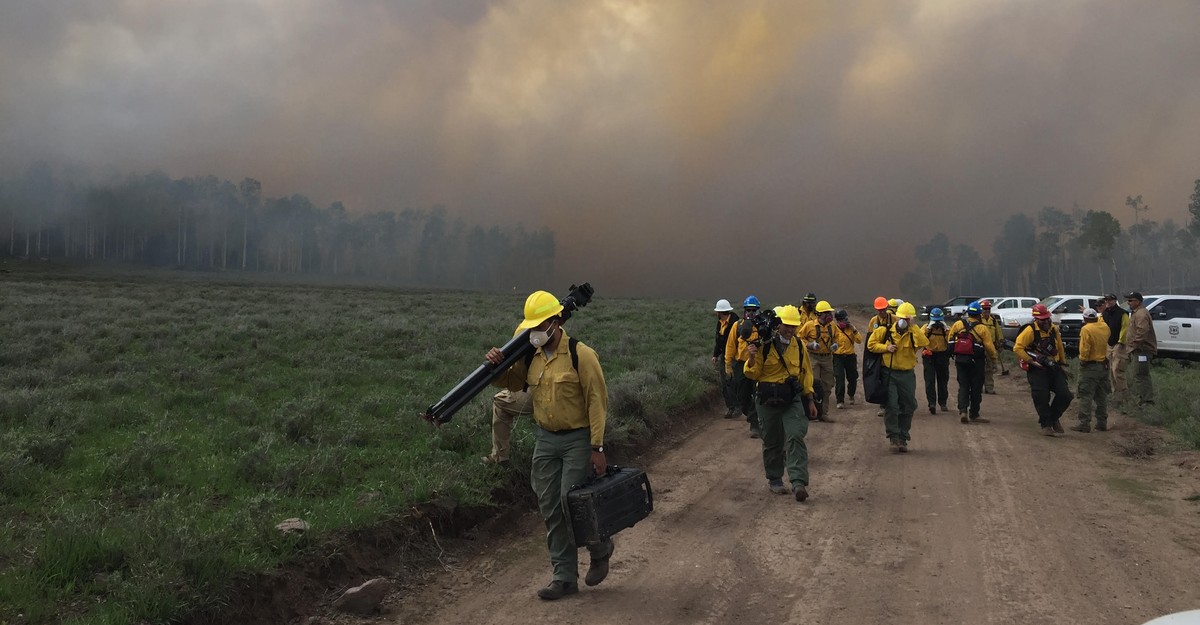 Why Scientists Are Setting a Giant Wildfire on Purpose - The Atlantic