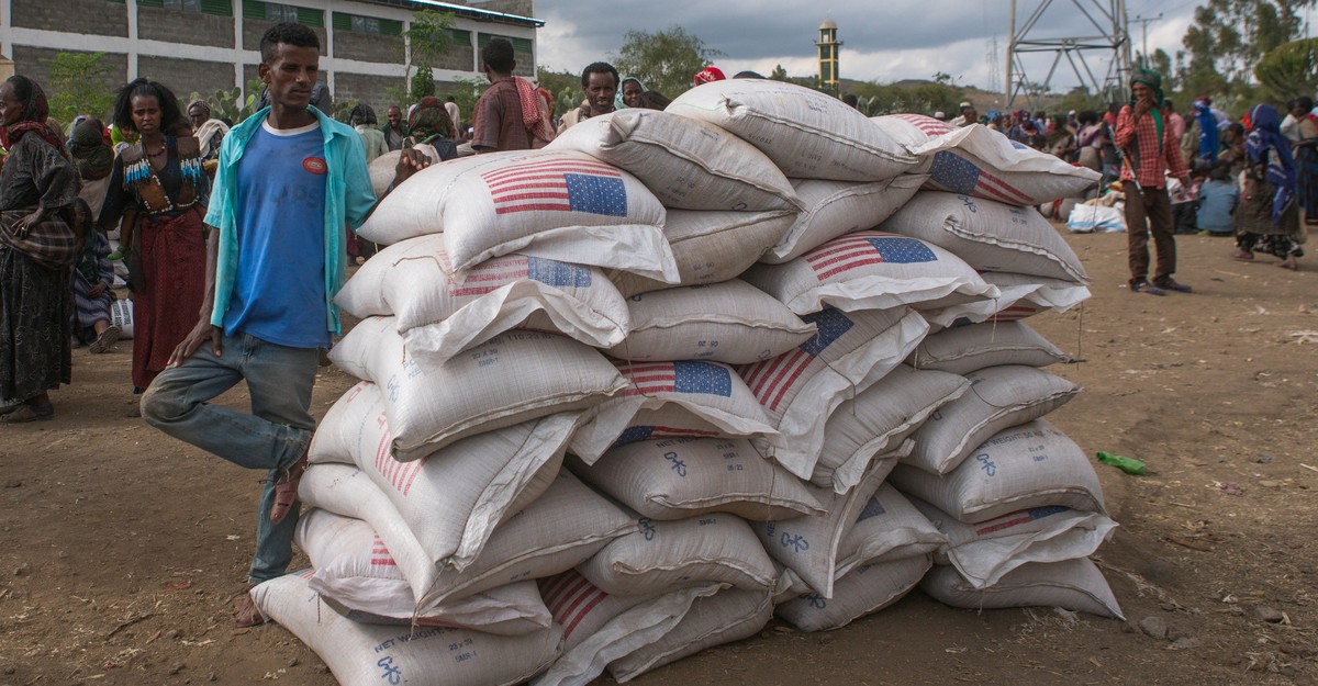 How the U.S. Became the World’s Largest Food-Aid Donor - The Atlantic