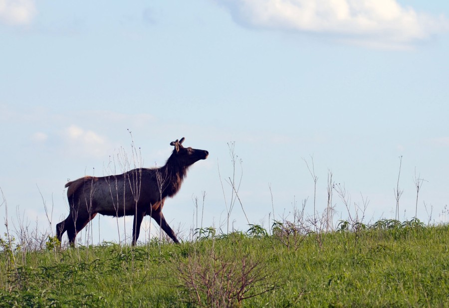 Iowa: Images of the Hawkeye State - The Atlantic