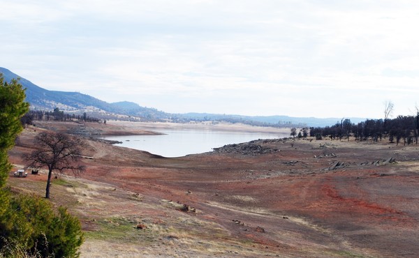 All Stories by Erica Gies - The Atlantic