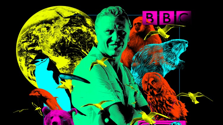 Every Episode of David Attenborough’s Life Series, Ranked - The Atlantic
