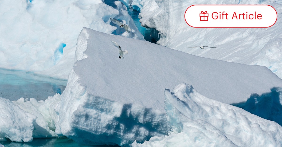 antarctica alien discovery