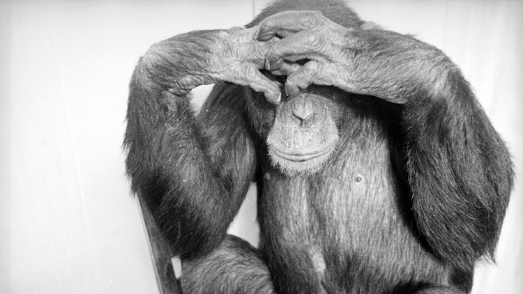 Cringe Culture Isn’t What It Used to Be - The Atlantic