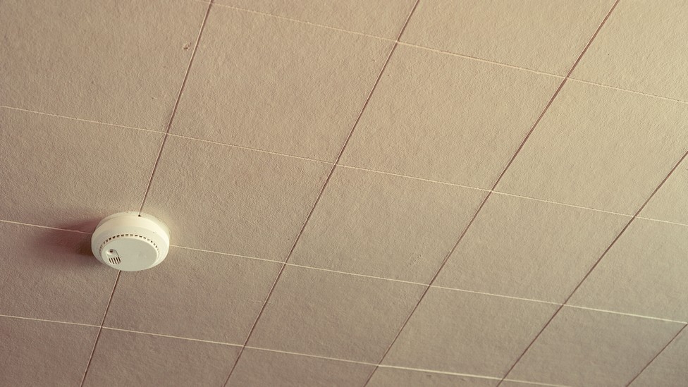 A Poem by Shara Lessley: 'Mutation: Factor V' - The Atlantic