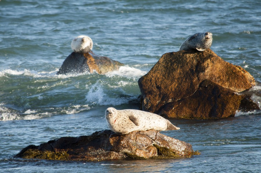 Rhode Island: Images of the Ocean State - The Atlantic