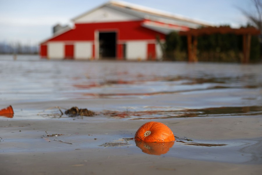 Photos of the Week: Apple Crisp, Squirrel Tea, Floating Pumpkin - The ...