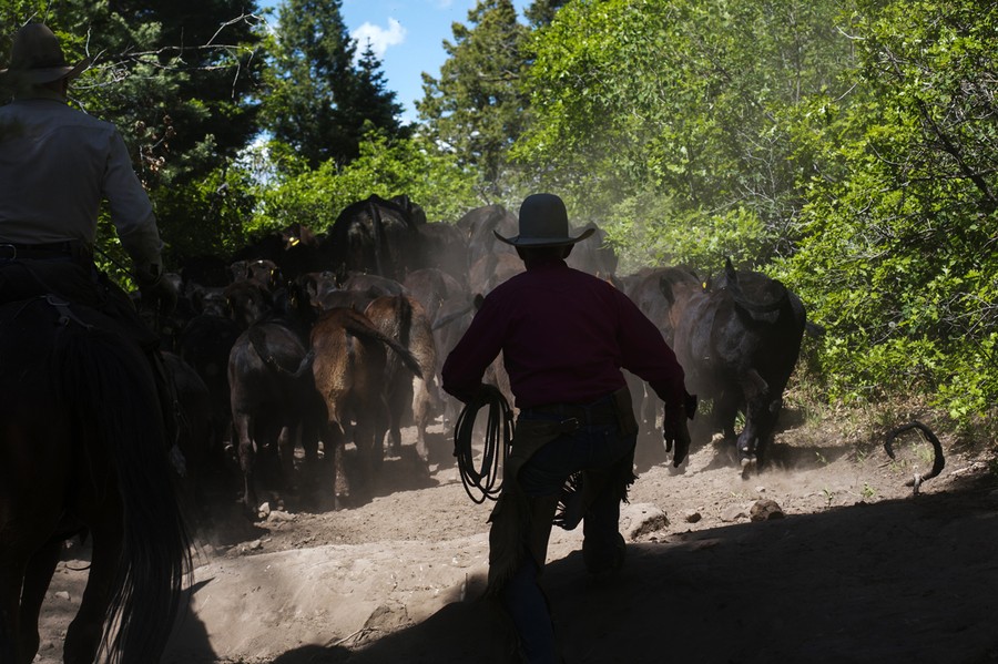 Sustainable Ranching in Colorado - The Atlantic