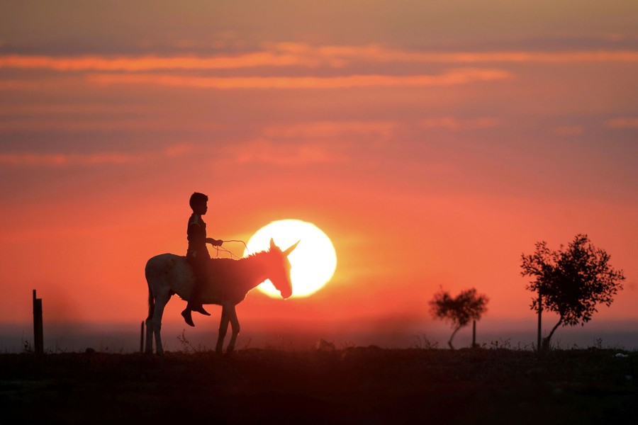 Photos of the Week: Vertical Dancers, Pagan Solstice, Panda Monitor ...