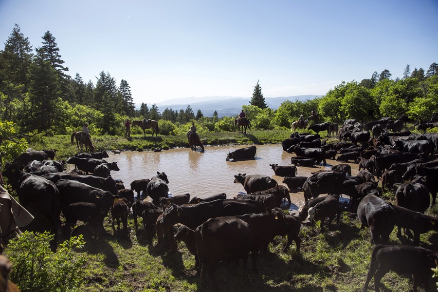 Sustainable Ranching in Colorado - The Atlantic
