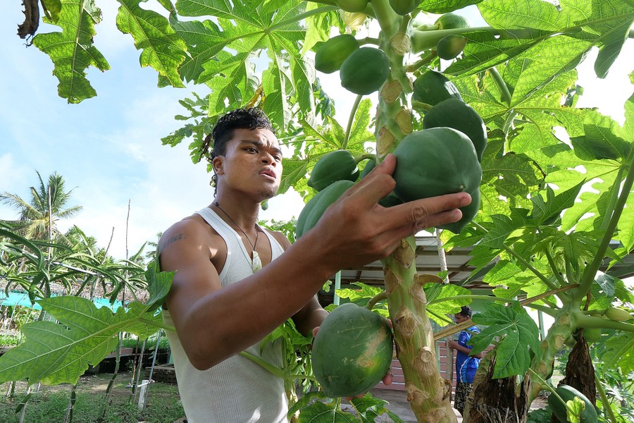 A Visit to Tuvalu, Surrounded by the Rising Pacific - The Atlantic