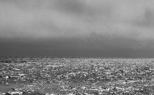 All Stories by Donald Platt - The Atlantic