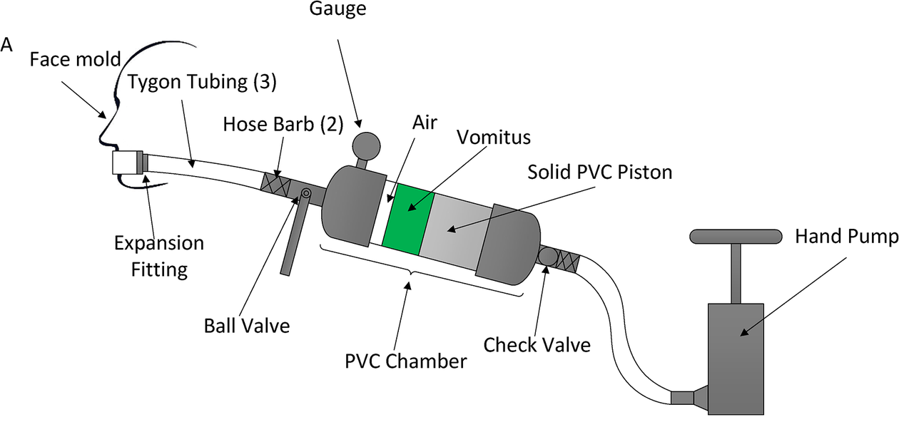 The Vomit Machine Can Teach Us About Stomach Flu Outbreaks - The Atlantic