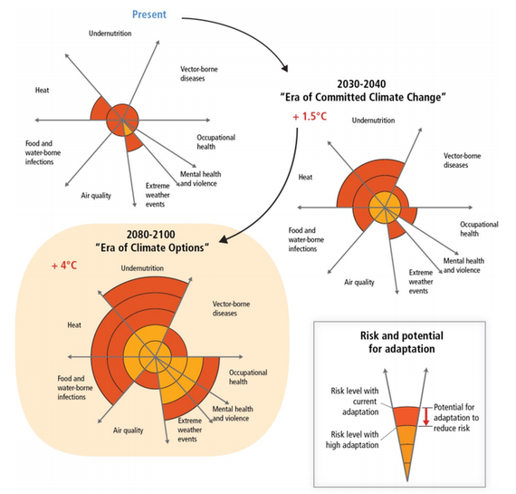 The UN's New Focus: Surviving, Not Stopping, Climate Change - The Atlantic