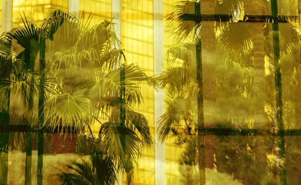 All Stories by Clive Thompson - The Atlantic