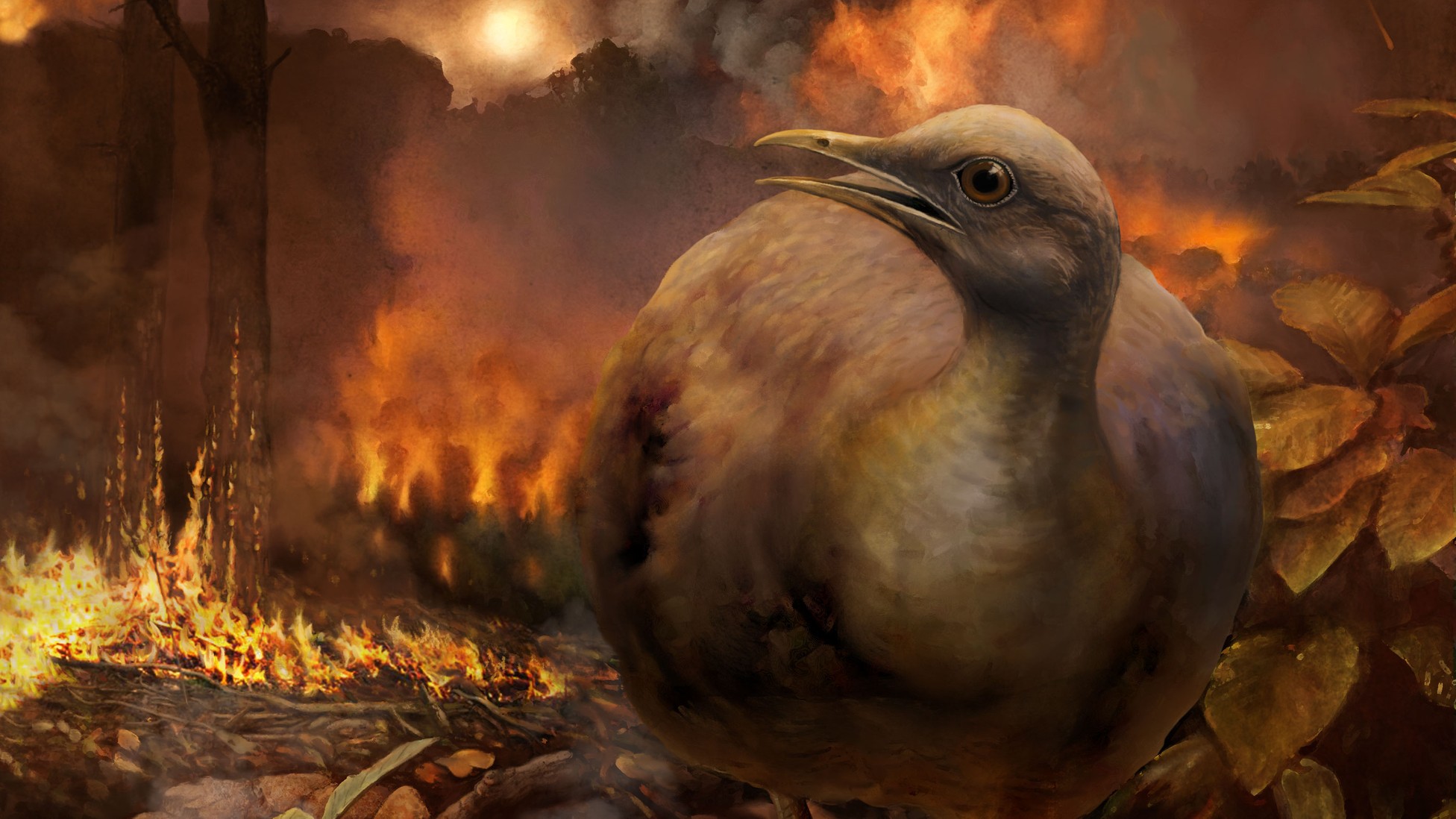 The Dinosaur-Killing Asteroid Wiped Out Many Birds - The Atlantic