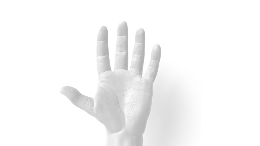 Palm Reading Is Real? - The Atlantic