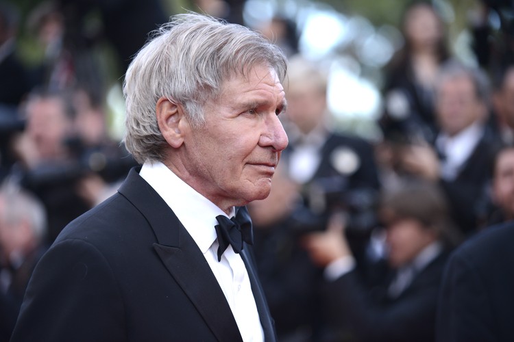 Ranking the Cast of 'The Expendables 3' by Box Office, Height, and ...