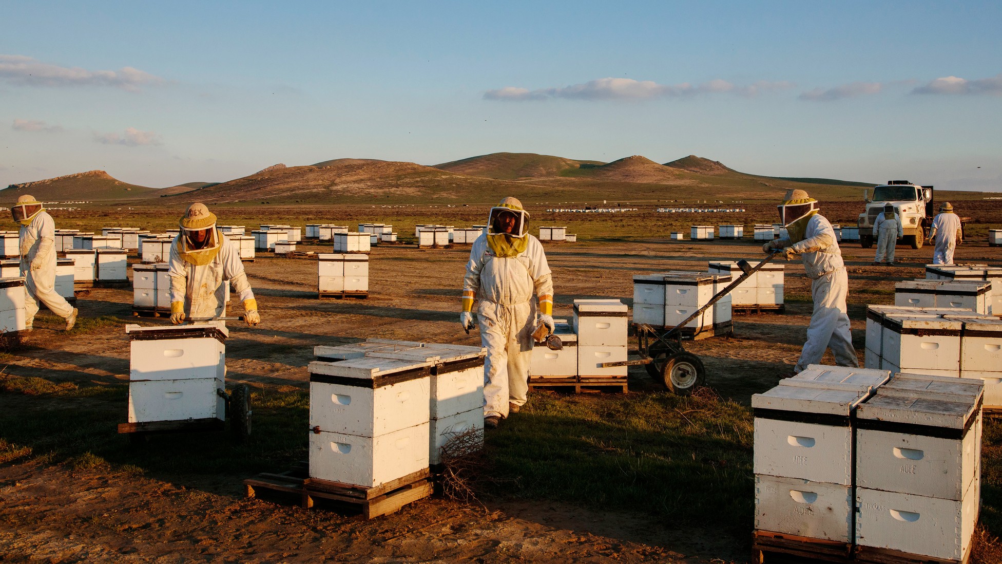 Ecosystems Everywhere Look the Same Now - The Atlantic