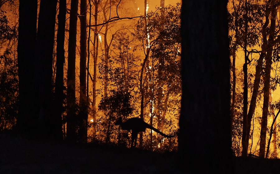 Photos of Australia’s 'Catastrophic' Bushfires - The Atlantic