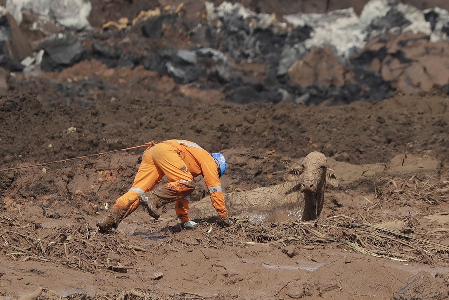 Photos of the Dam Collapse Near Brumadinho, Brazil - The Atlantic