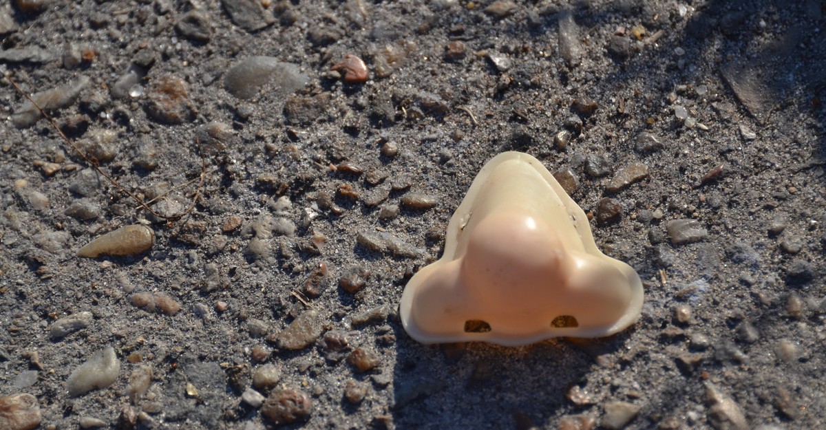 The History of the Nose Job - The Atlantic