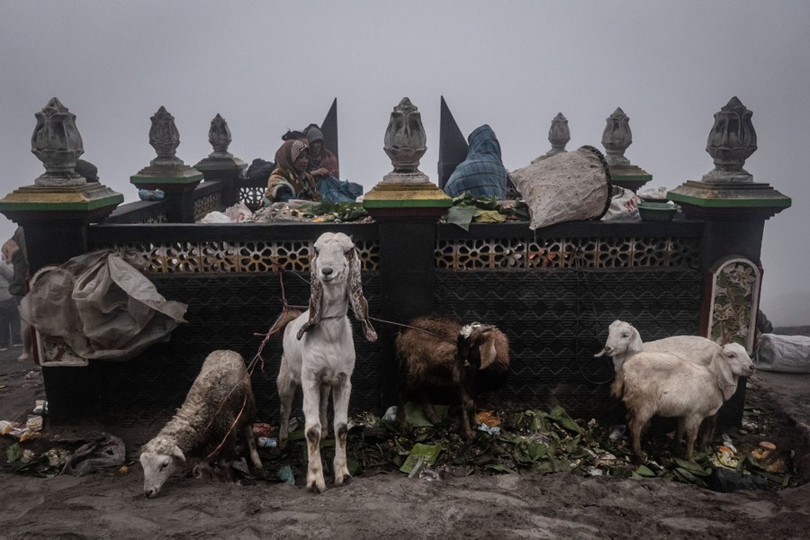 Yadnya Kasada: A Volcanic Ritual in Indonesia - The Atlantic