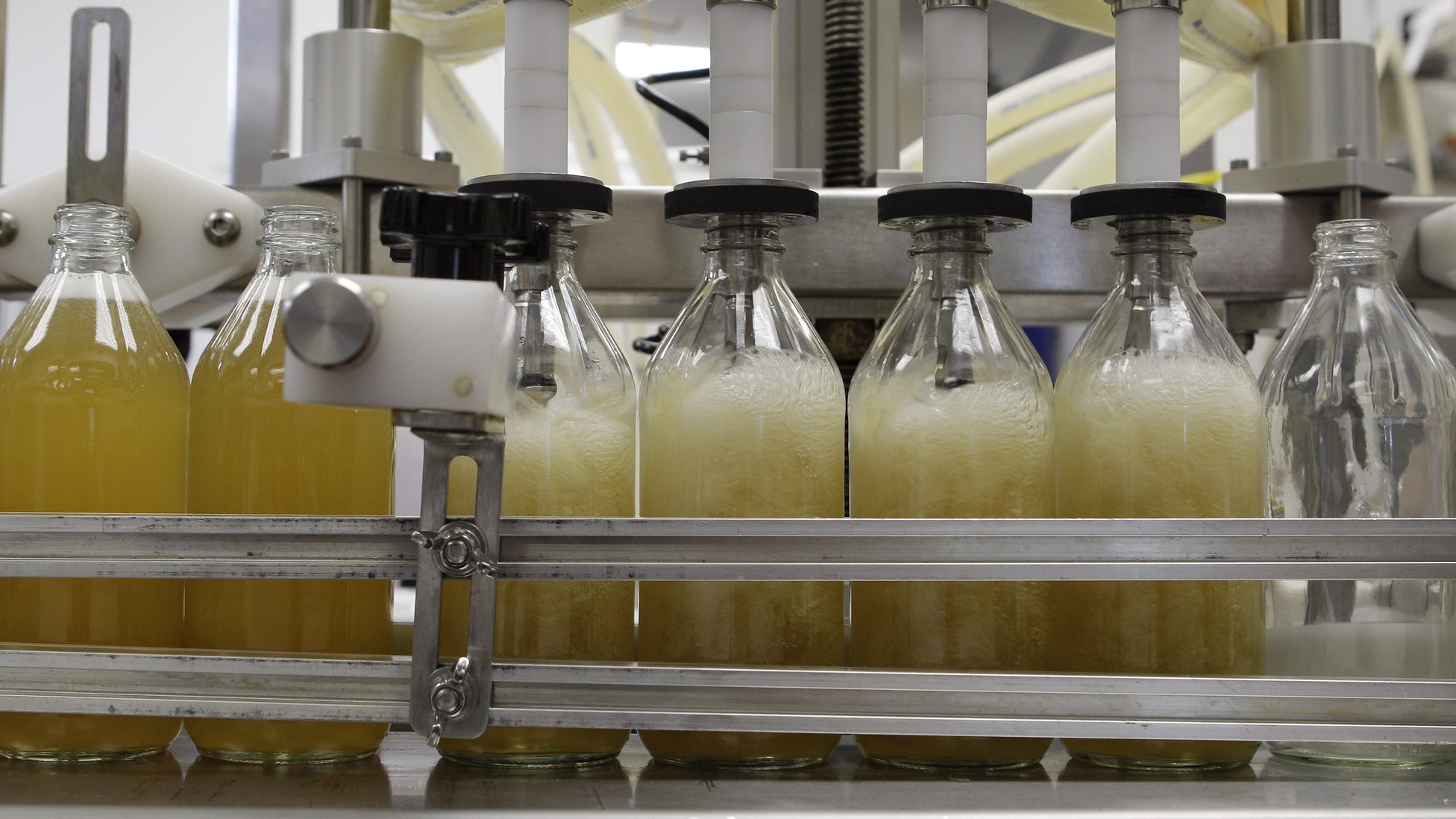 The Mystery of Kombucha Culture - The Atlantic
