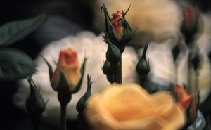 All Stories by Walt Hunter - The Atlantic