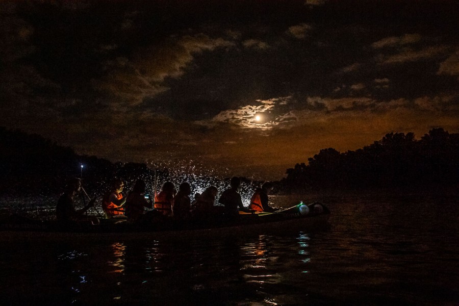 Photos of the Week: Airplane House, Mayfly Swarm, Cool Buffalo - The ...