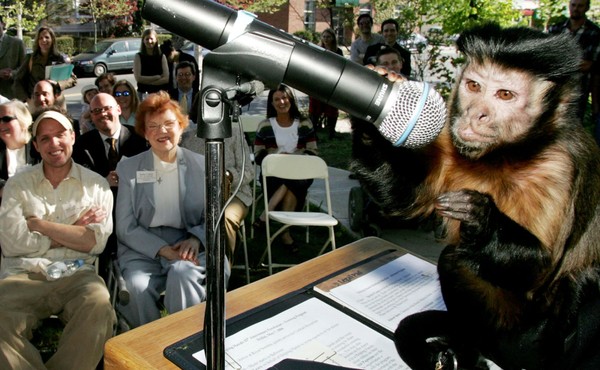 All Stories by Simone Foxman - The Atlantic