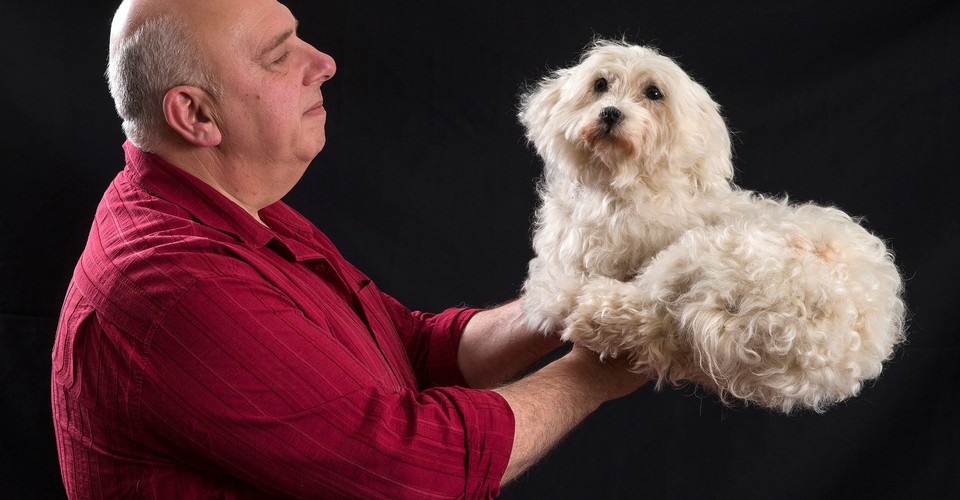 A Full-Service Funeral Home for Pets - The Atlantic