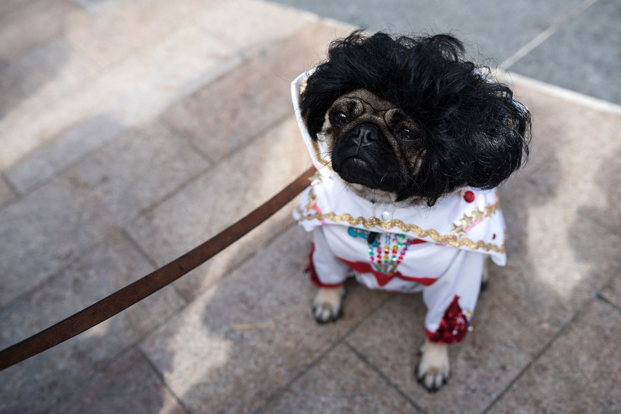 Photos of the Week: 7/15–7/21 - The Atlantic