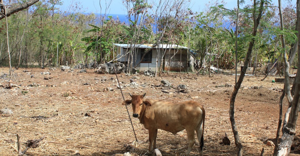 Why Bill Clinton Tried to Stop These Tiny Islands From Joining Congress ...
