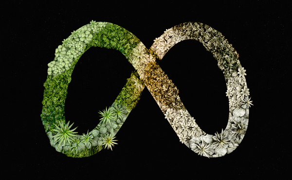 All Stories by Issie Lapowsky - The Atlantic