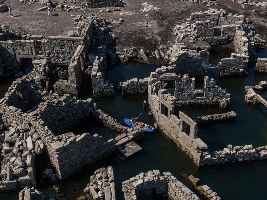 Photos of the Week: Airplane House, Mayfly Swarm, Cool Buffalo - The ...