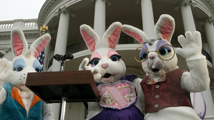 Confessions of a Disinvited White House Bunny - The Atlantic
