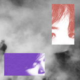 Bushra Seddique, The Atlantic