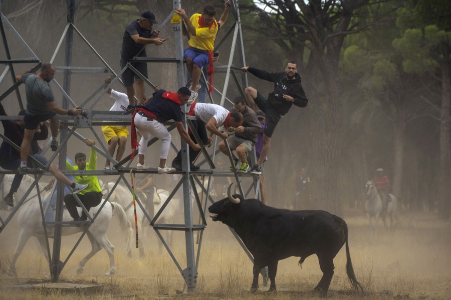 Photos of the Week: Cliff Diving, Bull Chasing, River Ballet - The Atlantic