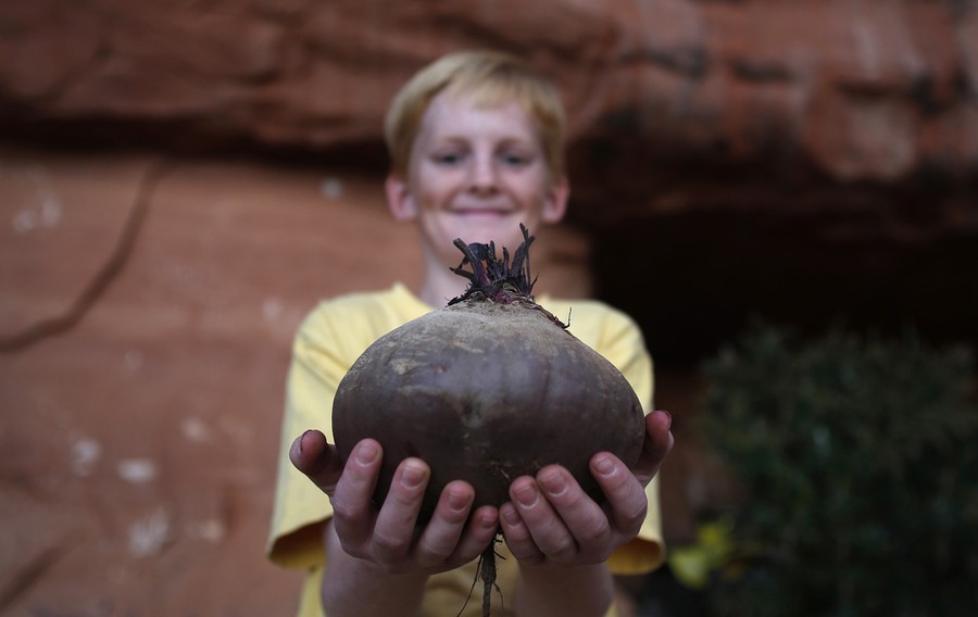 Polygamists in 'The Rock' - The Atlantic