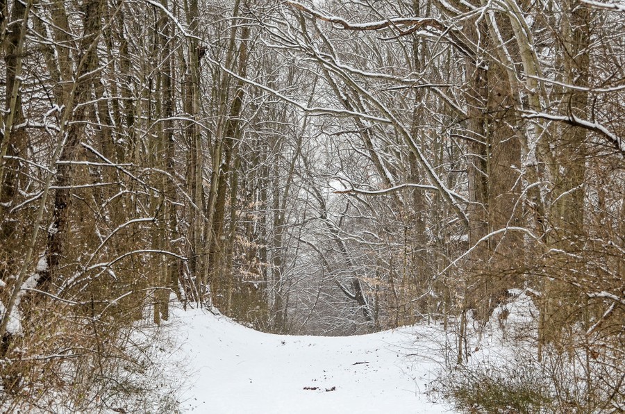 Delaware: Images of the First State - The Atlantic