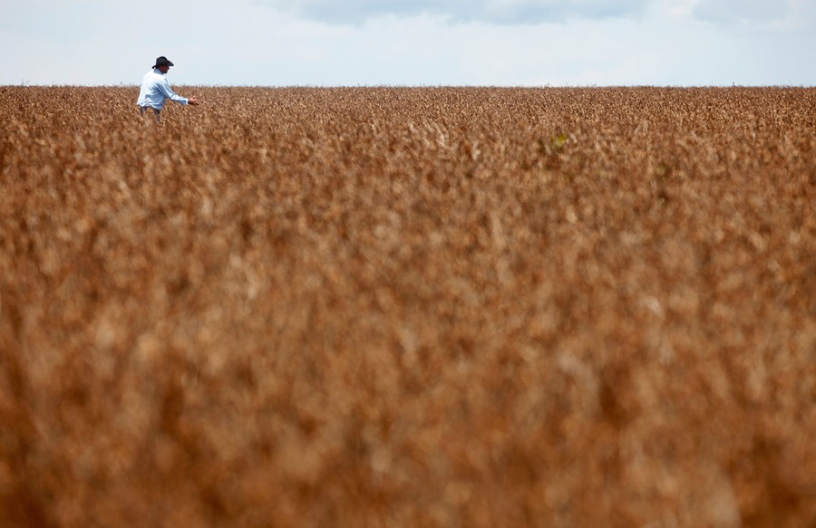 Scenes From Brazil - The Atlantic