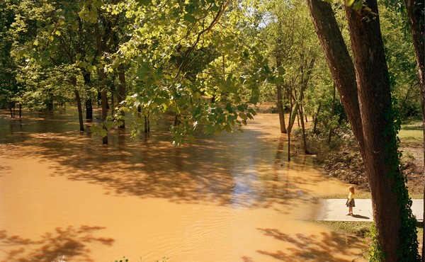 All Stories by Amy Weiss-Meyer - The Atlantic